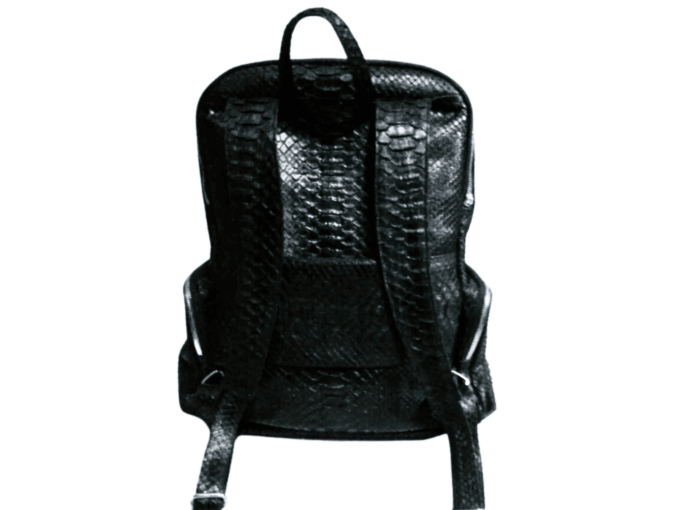 Black Snakeskin Backpack by LFM Fashion | Travelling Choiced